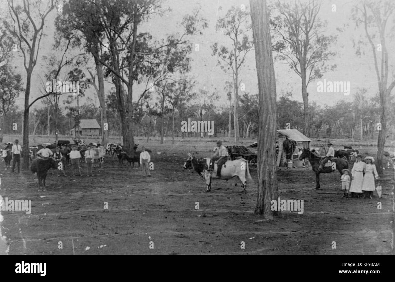 1 108728 Rural scene in Biarra, Queensland, ca. 1902 Stock Photo - Alamy