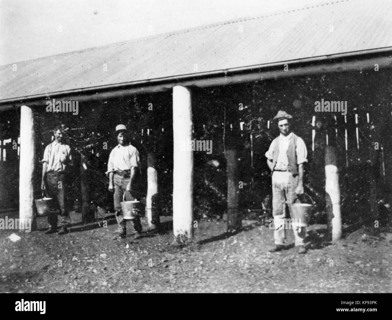 Gunalda hi-res stock photography and images - Alamy