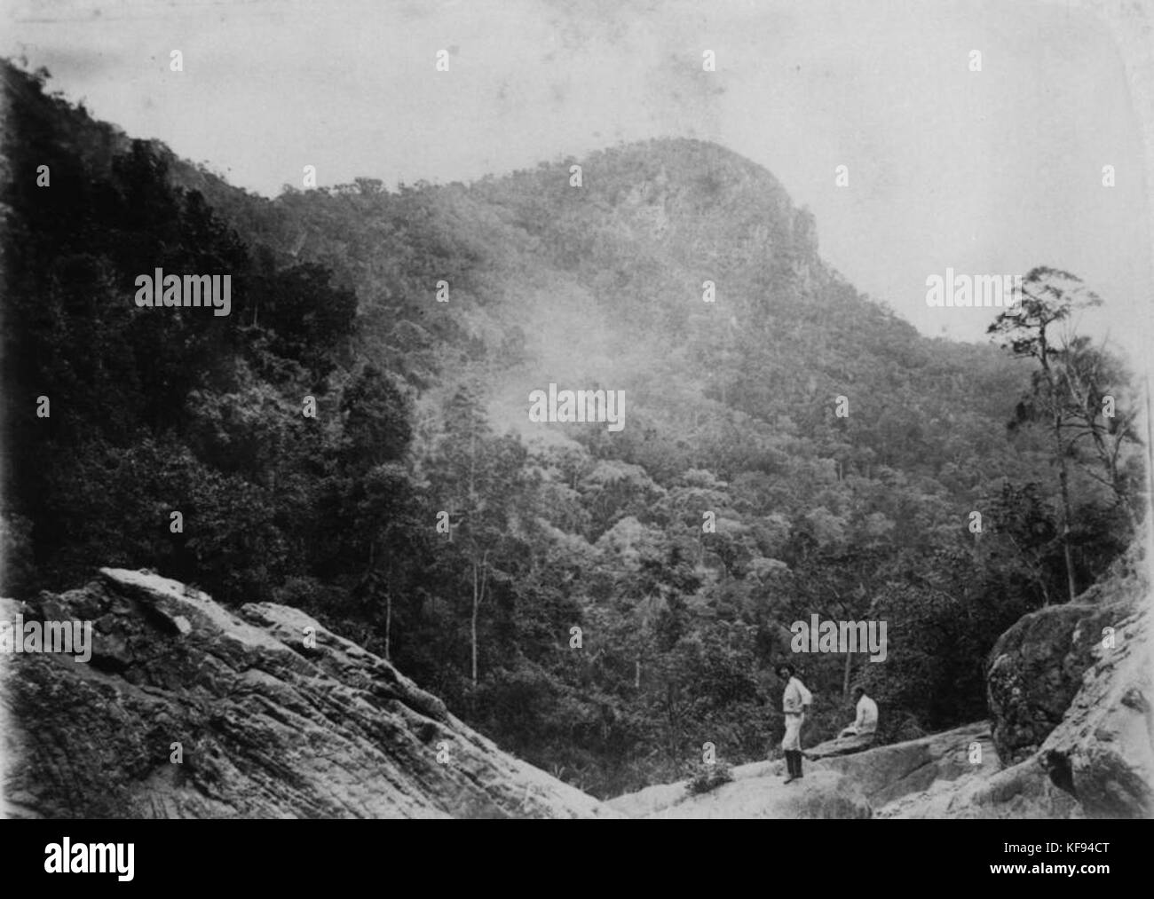 1 136025 Rocky escarpment in the Cairns district, Queensland, 1886 ...