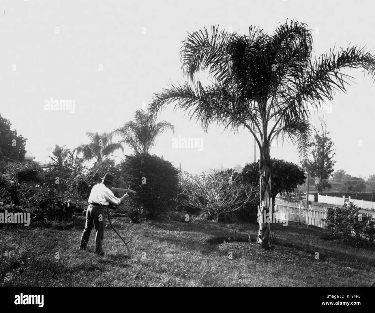 Preparing for crop Black and White Stock Photos & Images - Alamy