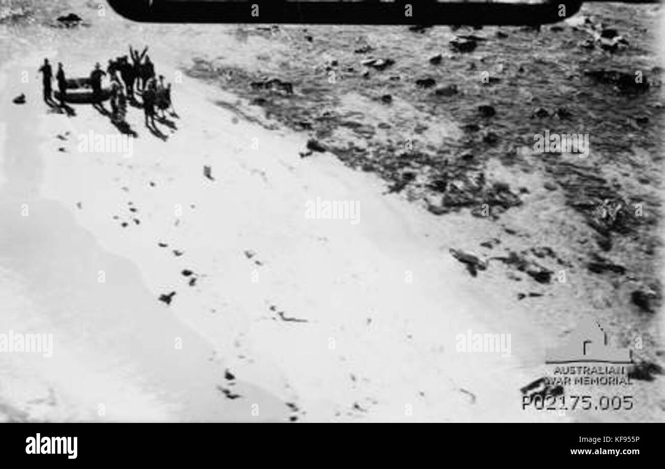 73 Squadron RAAF Anson aircrew rescue Moruya NSW Dec 1943 AWM P02175 ...