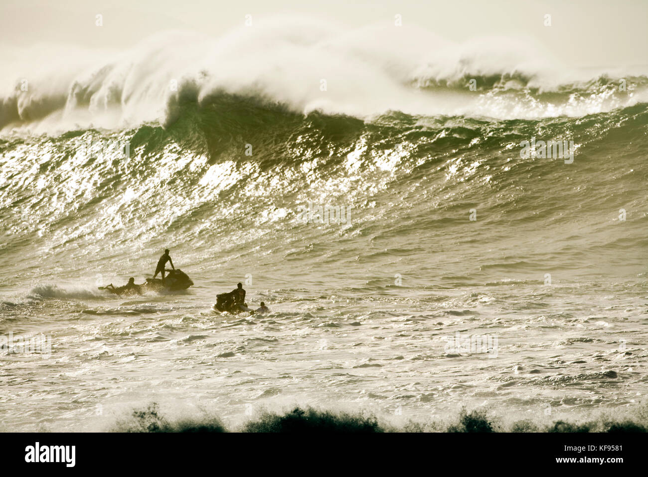 USA, Hawaii, lifeguards aid surfers in large surf, Waimea Bay, Oahu ...
