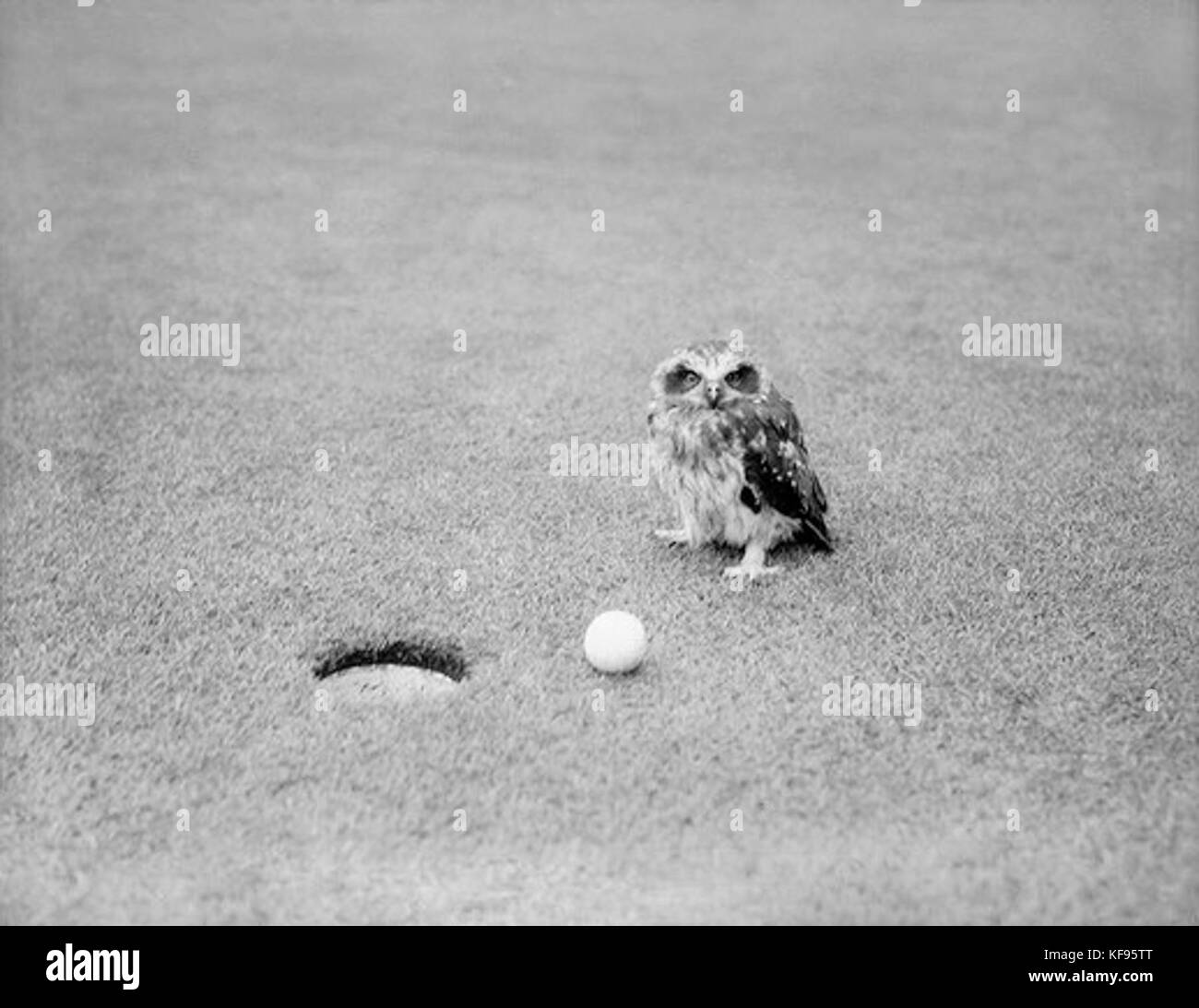 The victoria club Black and White Stock Photos & Images - Alamy