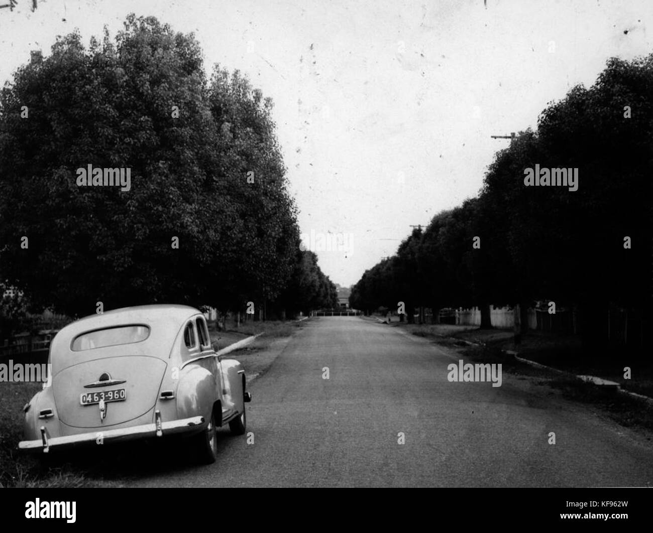 1 130747 Laurel Avenue, Chelmer, Brisbane, 1949 Stock Photo - Alamy