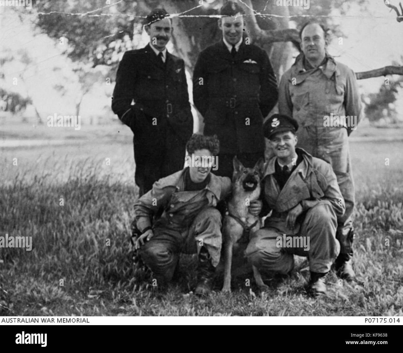 13 Squadron RAAF Ventura aircrew AWM P07175.014 Stock Photo - Alamy