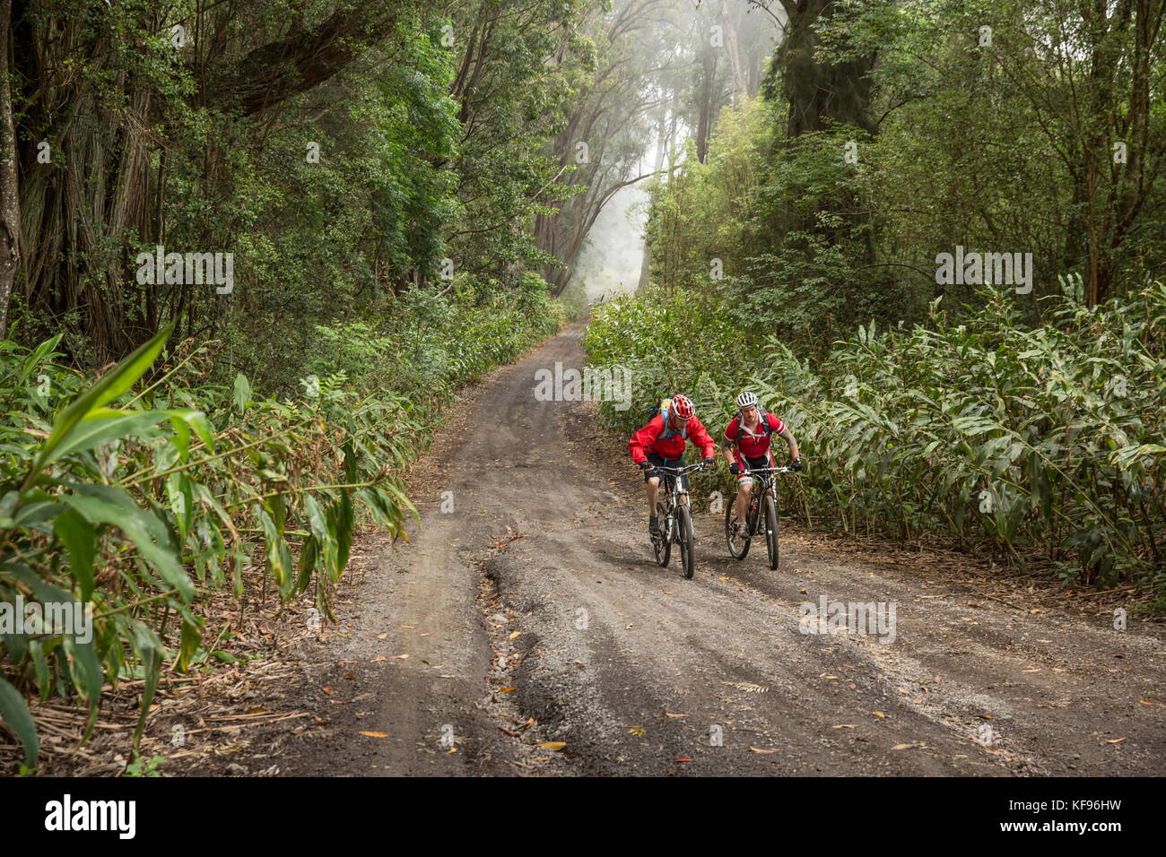 USA, Hawaii, The Big Island, journalist Daniel Duane and Chef Seamus ...