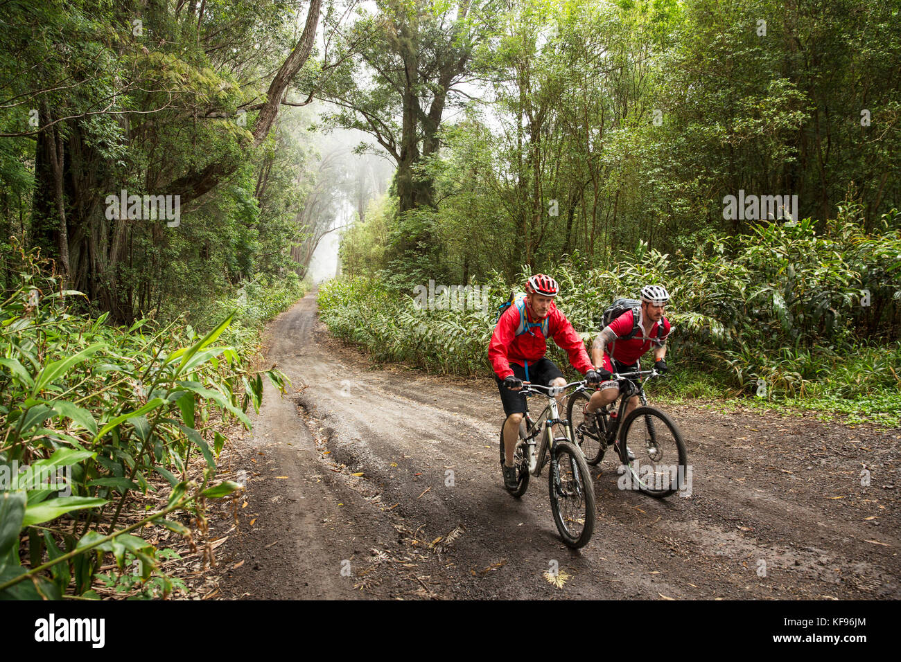 USA, Hawaii, The Big Island, journalist Daniel Duane and Chef Seamus ...