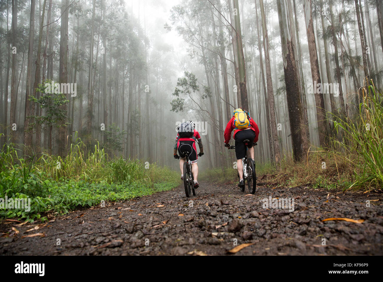 USA, Hawaii, The Big Island, journalist Daniel Duane and Chef Seamus ...