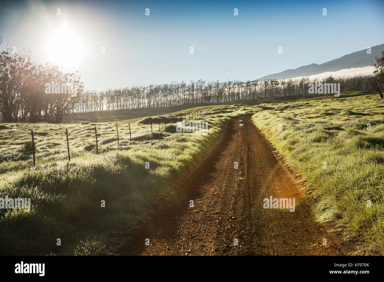 USA, Hawaii, The Big Island, Mana Road landscape, mountain bike Stock ...