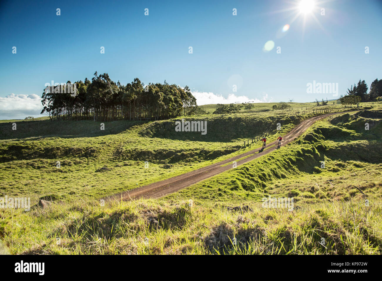 USA, Hawaii, The Big Island, journalist Daniel Duane and chef Seamus ...