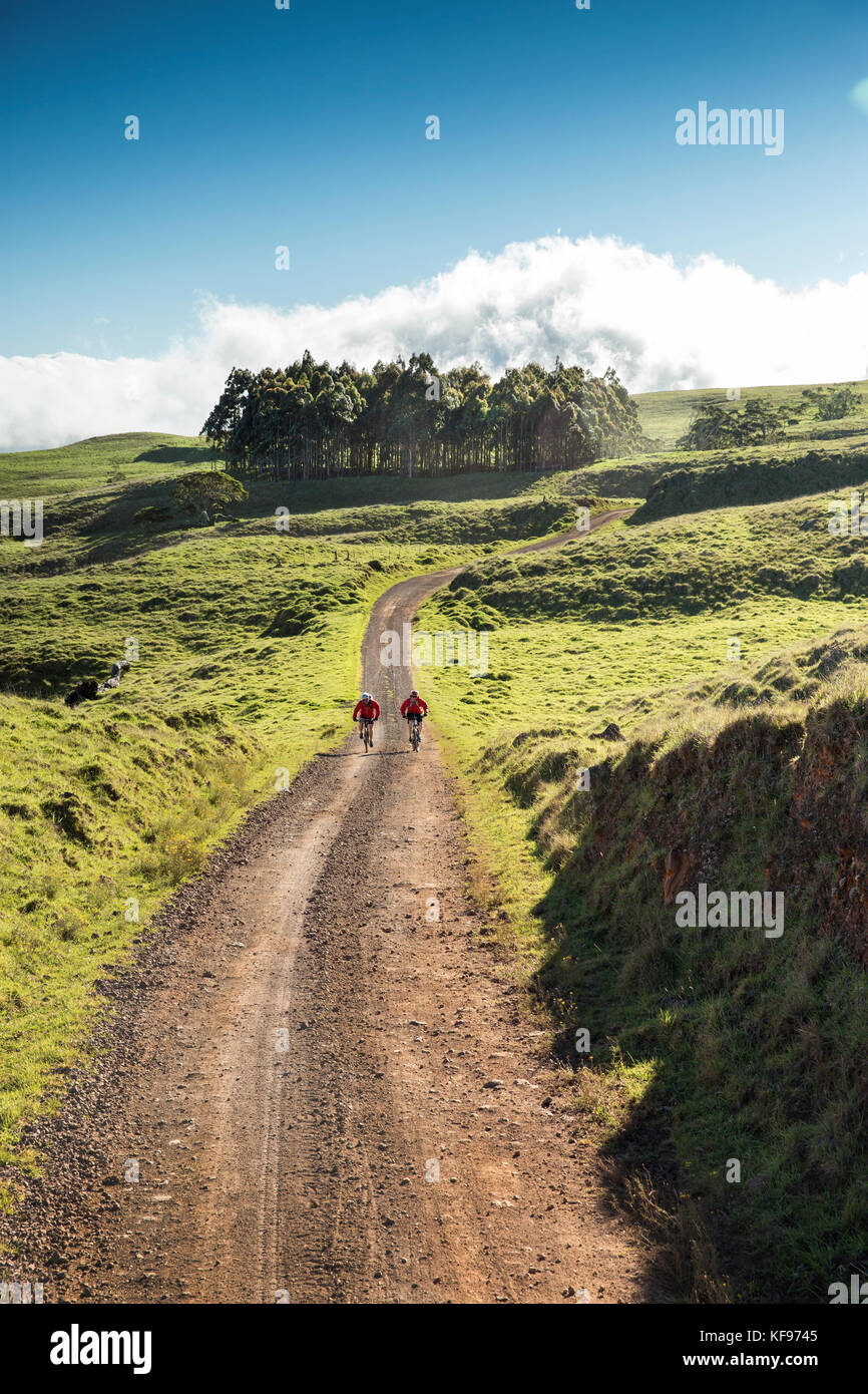 USA, Hawaii, The Big Island, journalist Daniel Duane and chef Seamus ...
