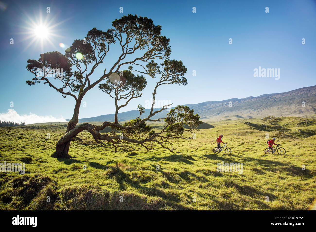 USA, Hawaii, The Big Island, journalist Daniel Duane and chef Seamus ...
