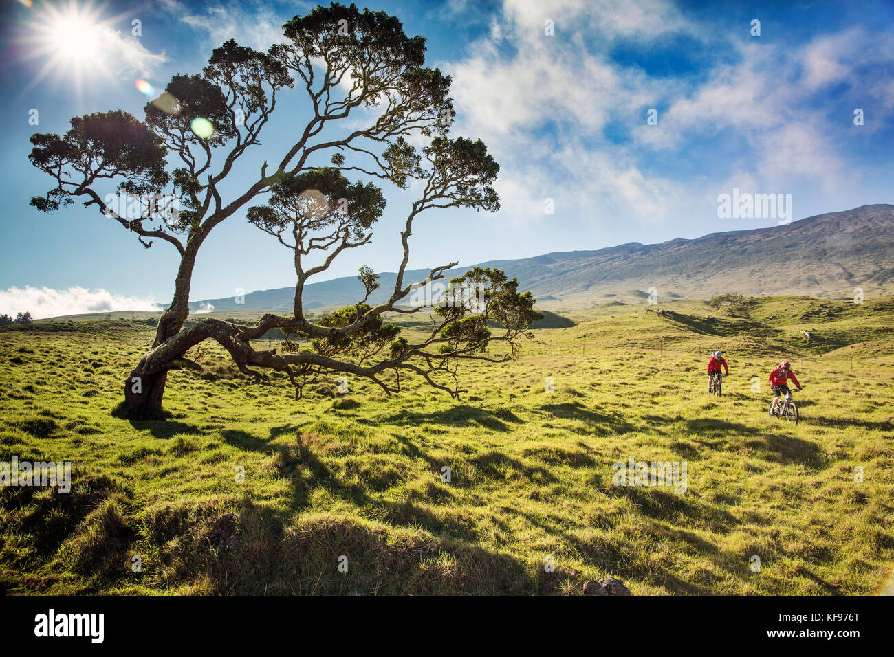 USA, Hawaii, The Big Island, journalist Daniel Duane and chef Seamus ...