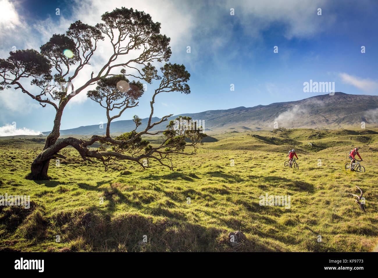 USA, Hawaii, The Big Island, journalist Daniel Duane and chef Seamus ...