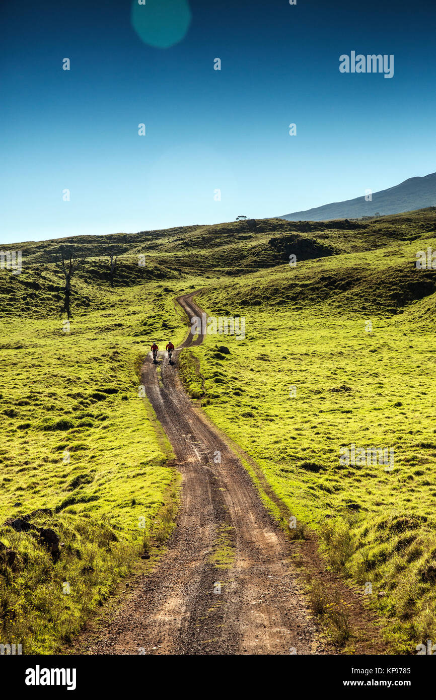 USA, Hawaii, The Big Island, journalist Daniel Duane and chef Seamus ...