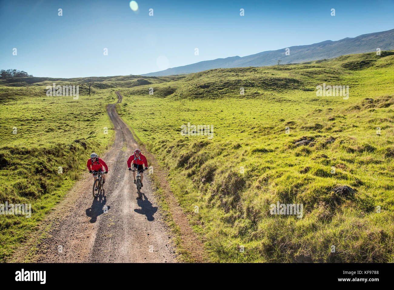 USA, Hawaii, The Big Island, journalist Daniel Duane and chef Seamus ...