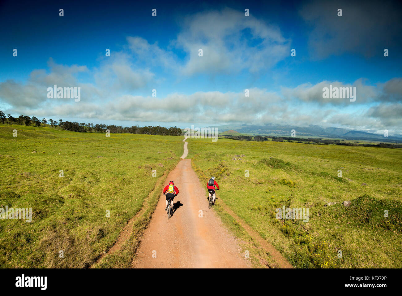 USA, Hawaii, The Big Island, journalist Daniel Duane and chef Seamus ...