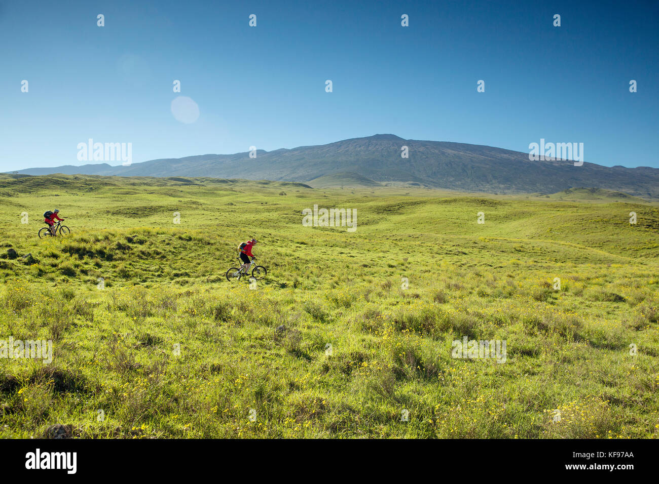 USA, Hawaii, The Big Island, journalist Daniel Duane and chef Seamus ...