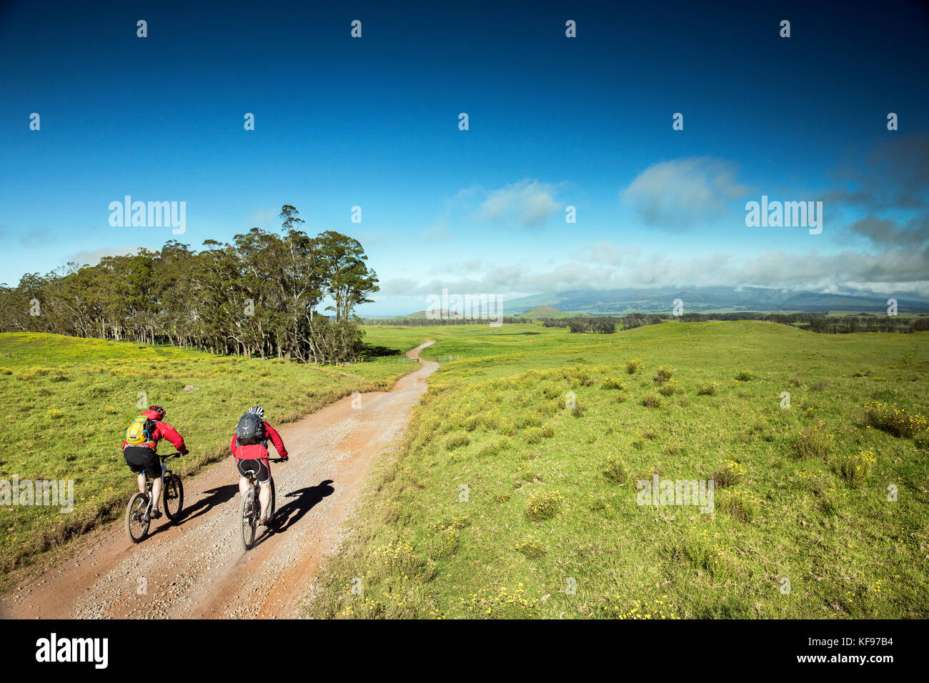 USA, Hawaii, The Big Island, journalist Daniel Duane and chef Seamus ...