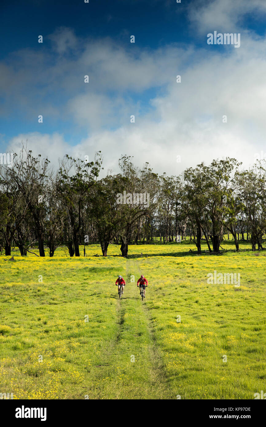 USA, Hawaii, The Big Island, journalist Daniel Duane and chef Seamus ...