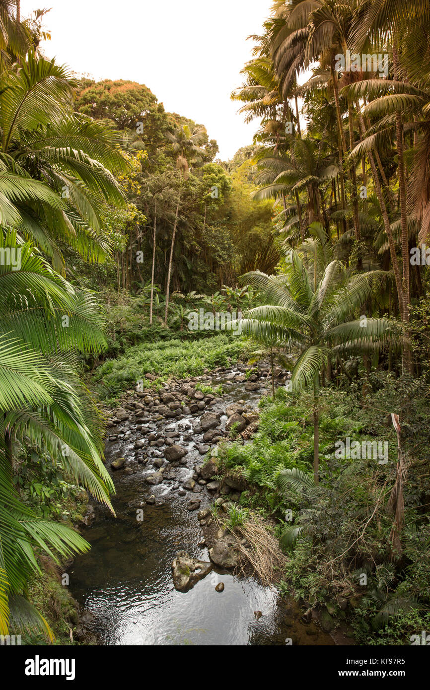 Honolii river hi-res stock photography and images - Alamy