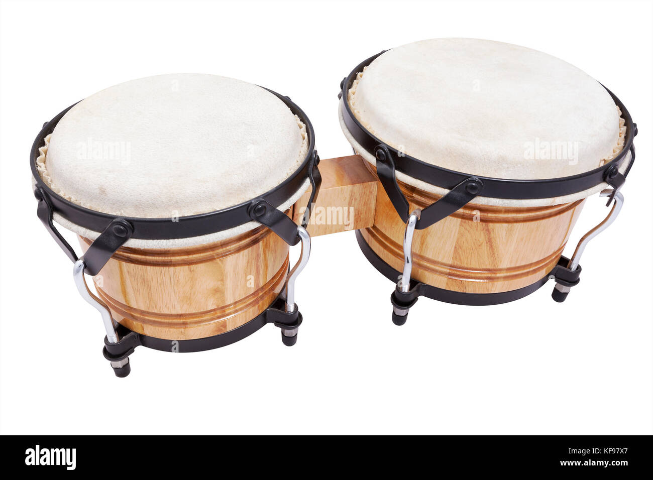 Bongos Instrument