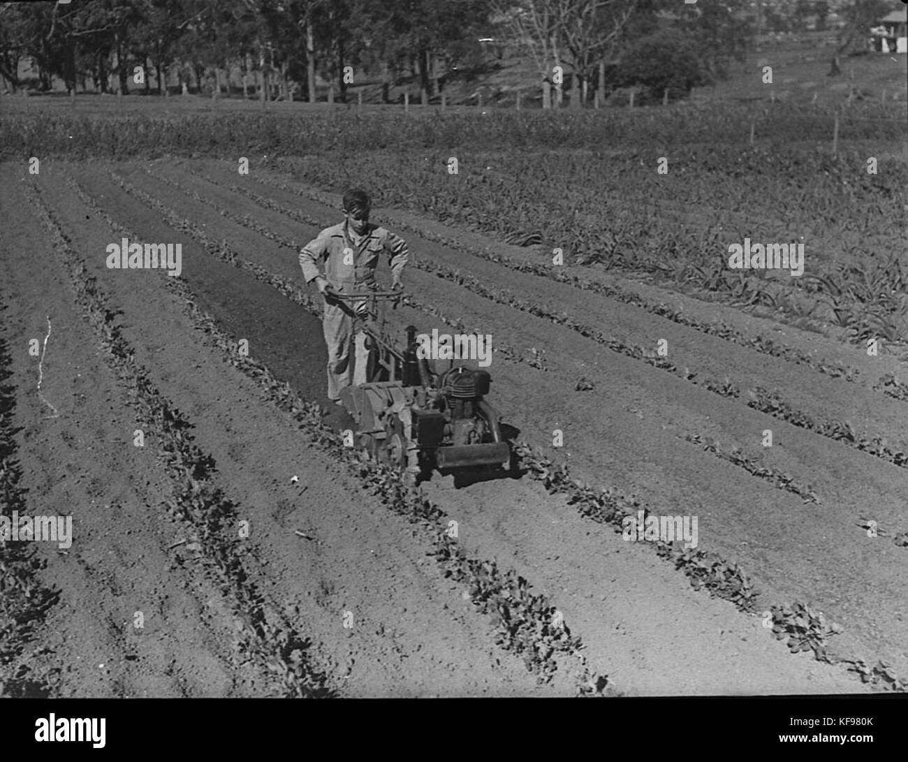 29430 Howard Auto Cultivators rotary hoes Burnside Homes Stock Photo ...