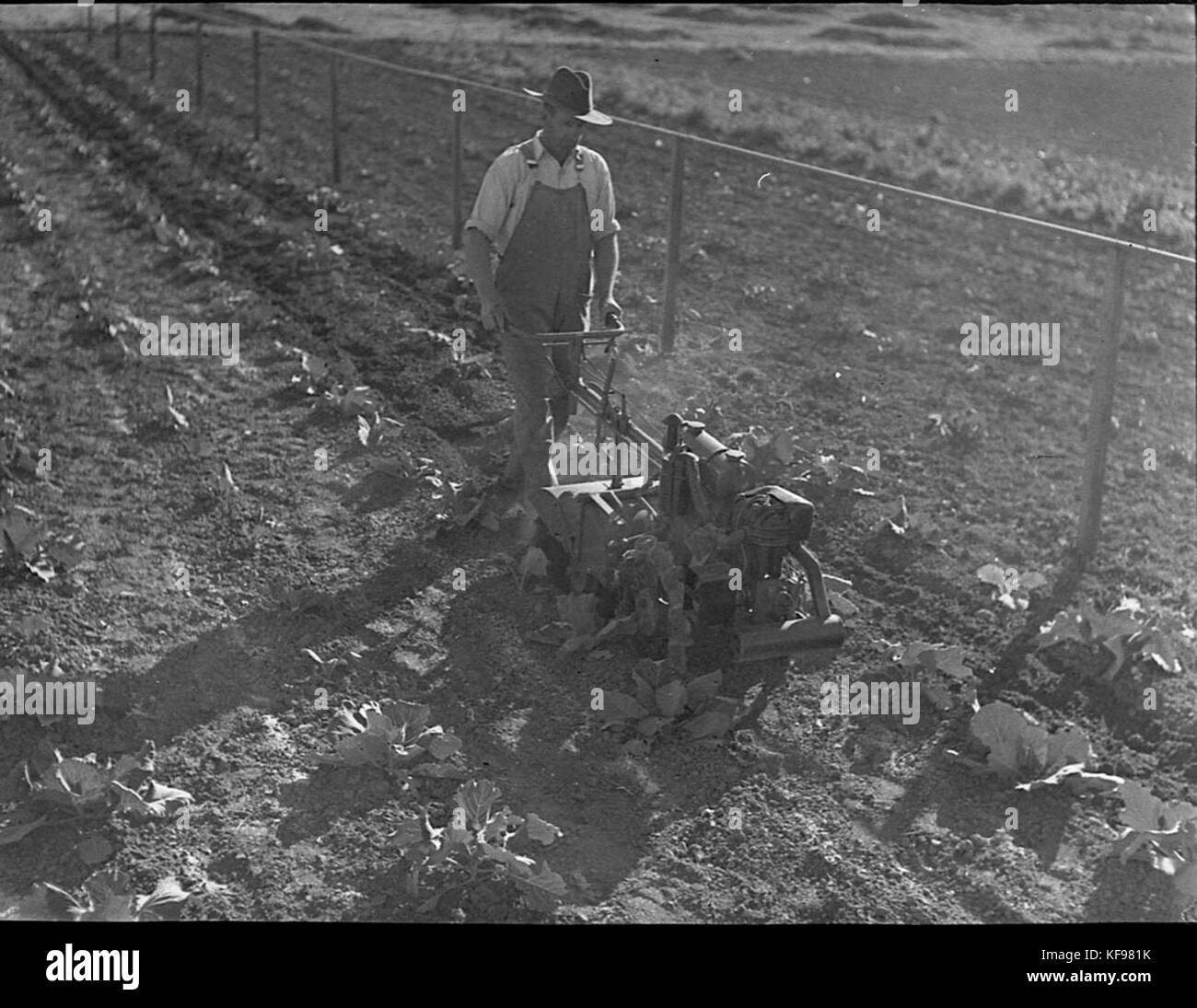 29436 Howard Auto Cultivators rotary hoes Burnside Homes Stock Photo ...