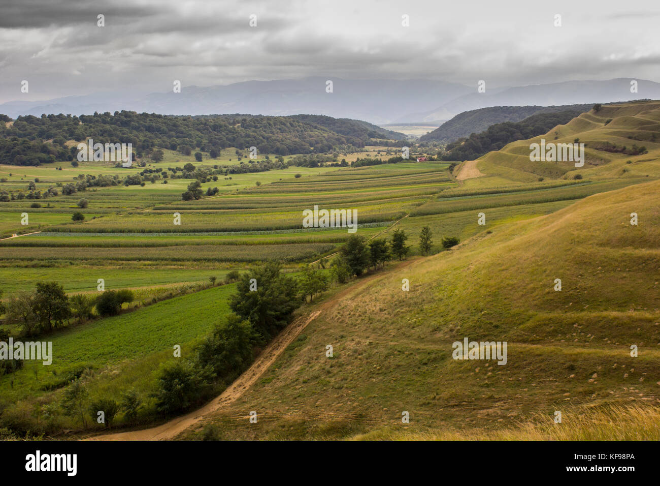 Romania field grassland hi-res stock photography and images - Alamy