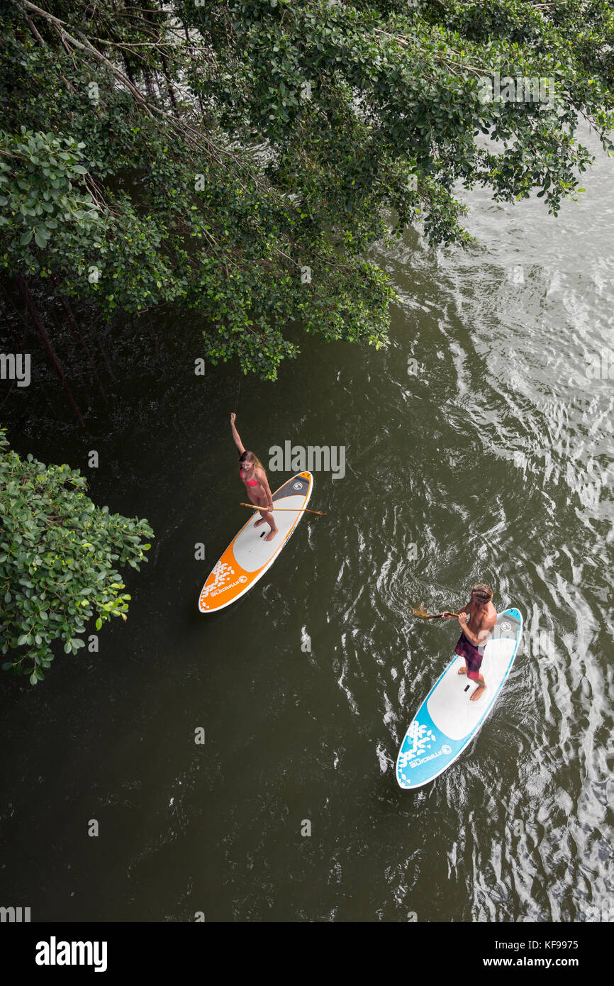 USA, Hawaii, The Big Island, Hilo, paddle boarding on the Wailuku River ...