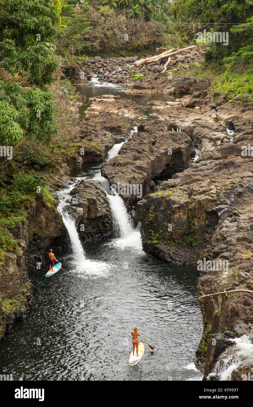 USA, Hawaii, The Big Island, Hilo, paddle boarding on the Wailuku River ...