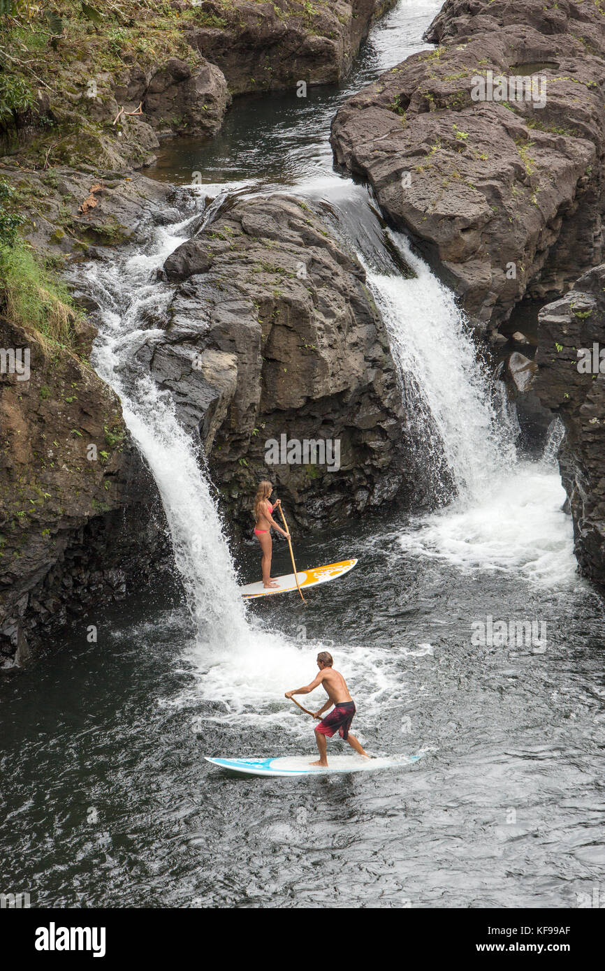USA, Hawaii, The Big Island, Hilo, paddle boarding on the Wailuku River ...