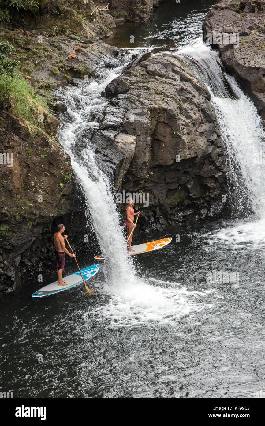 USA, Hawaii, The Big Island, Hilo, paddle boarding on the Wailuku River ...