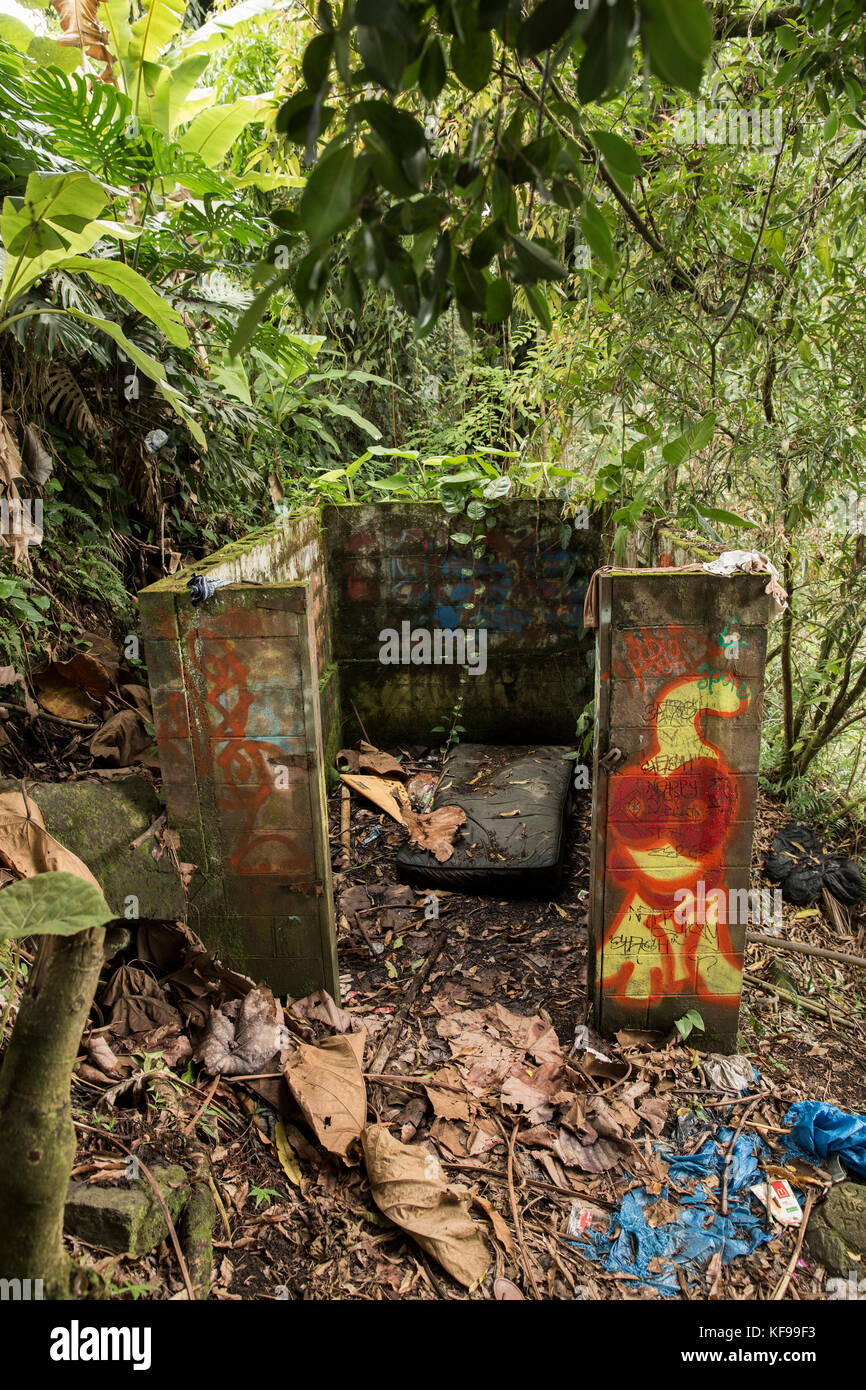 USA, Hawaii, The Big Island, Hilo, paddle boarding on the Wailuku River ...