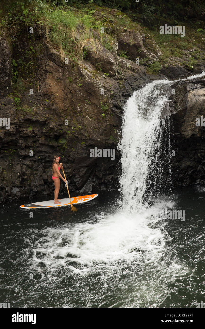 USA, Hawaii, The Big Island, Hilo, paddle boarding on the Wailuku River ...
