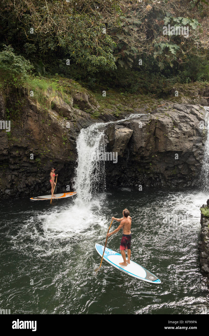USA, Hawaii, The Big Island, Hilo, paddle boarding on the Wailuku River ...