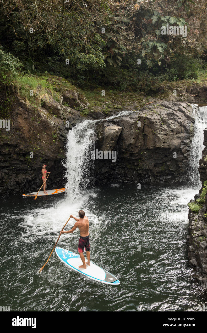 USA, Hawaii, The Big Island, Hilo, paddle boarding on the Wailuku River ...