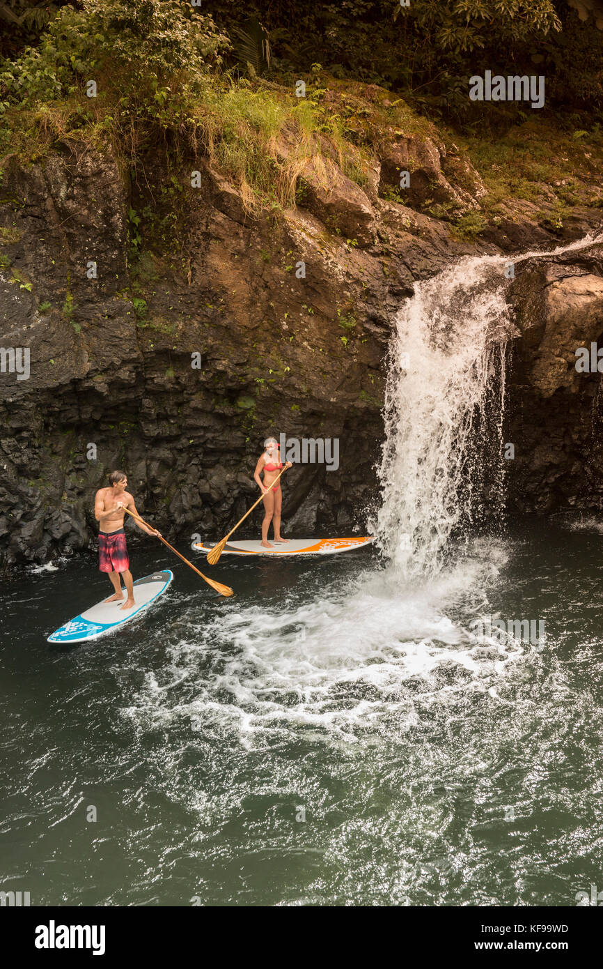 USA, Hawaii, The Big Island, Hilo, paddle boarding on the Wailuku River ...