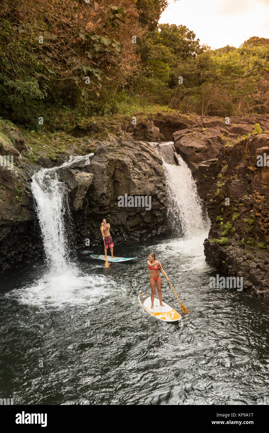 USA, Hawaii, The Big Island, Hilo, paddle boarding on the Wailuku River ...