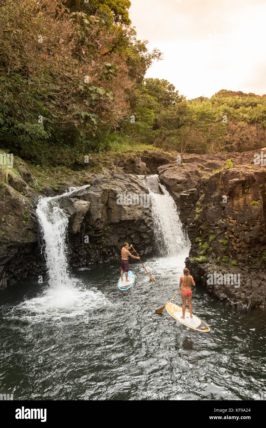 USA, Hawaii, The Big Island, Hilo, paddle boarding on the Wailuku River ...