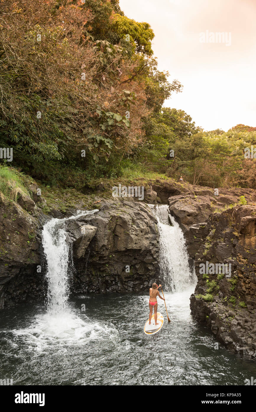 USA, Hawaii, The Big Island, Hilo, paddle boarding on the Wailuku River ...