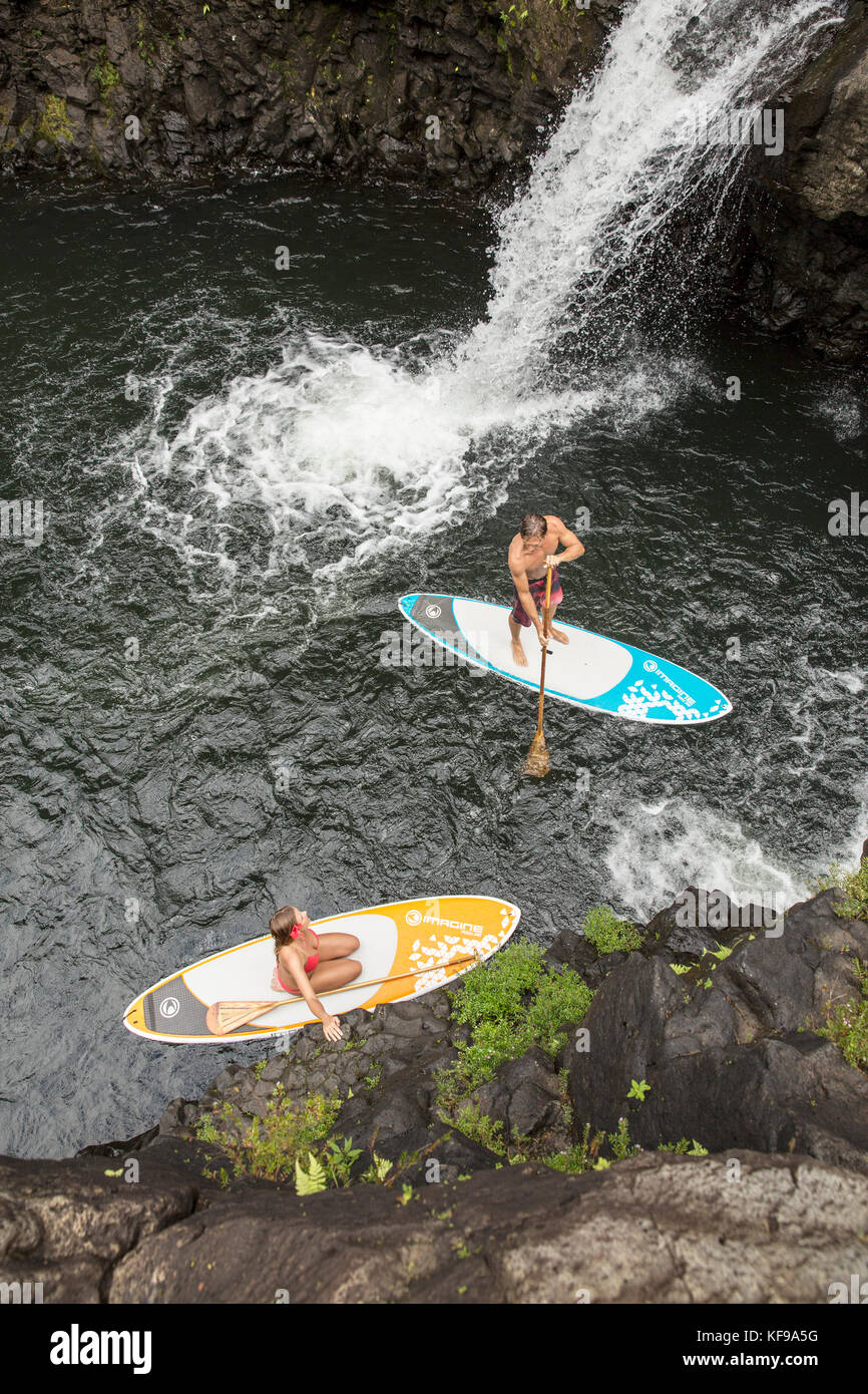 USA, Hawaii, The Big Island, Hilo, paddle boarding on the Wailuku River ...