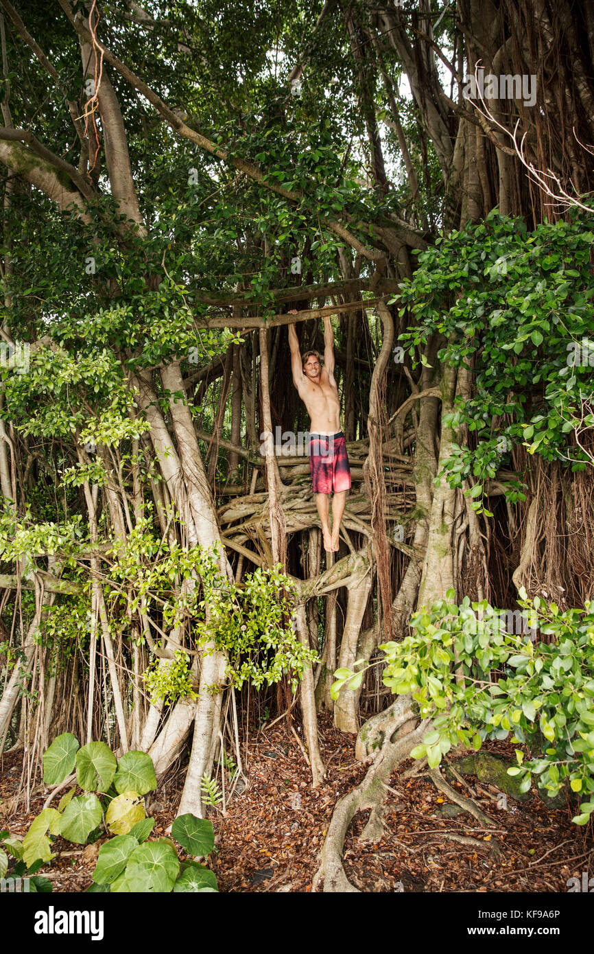 Banyan Tree Hanging Roots Stock Photos & Banyan Tree Hanging Roots ...