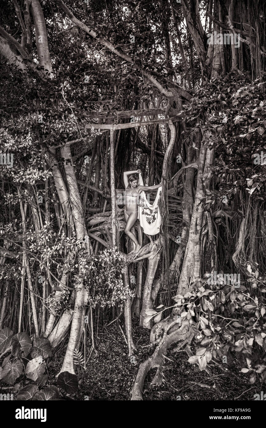 USA, Hawaii, The Big Island, Donica Shouse hangs climbs and hangs out ...