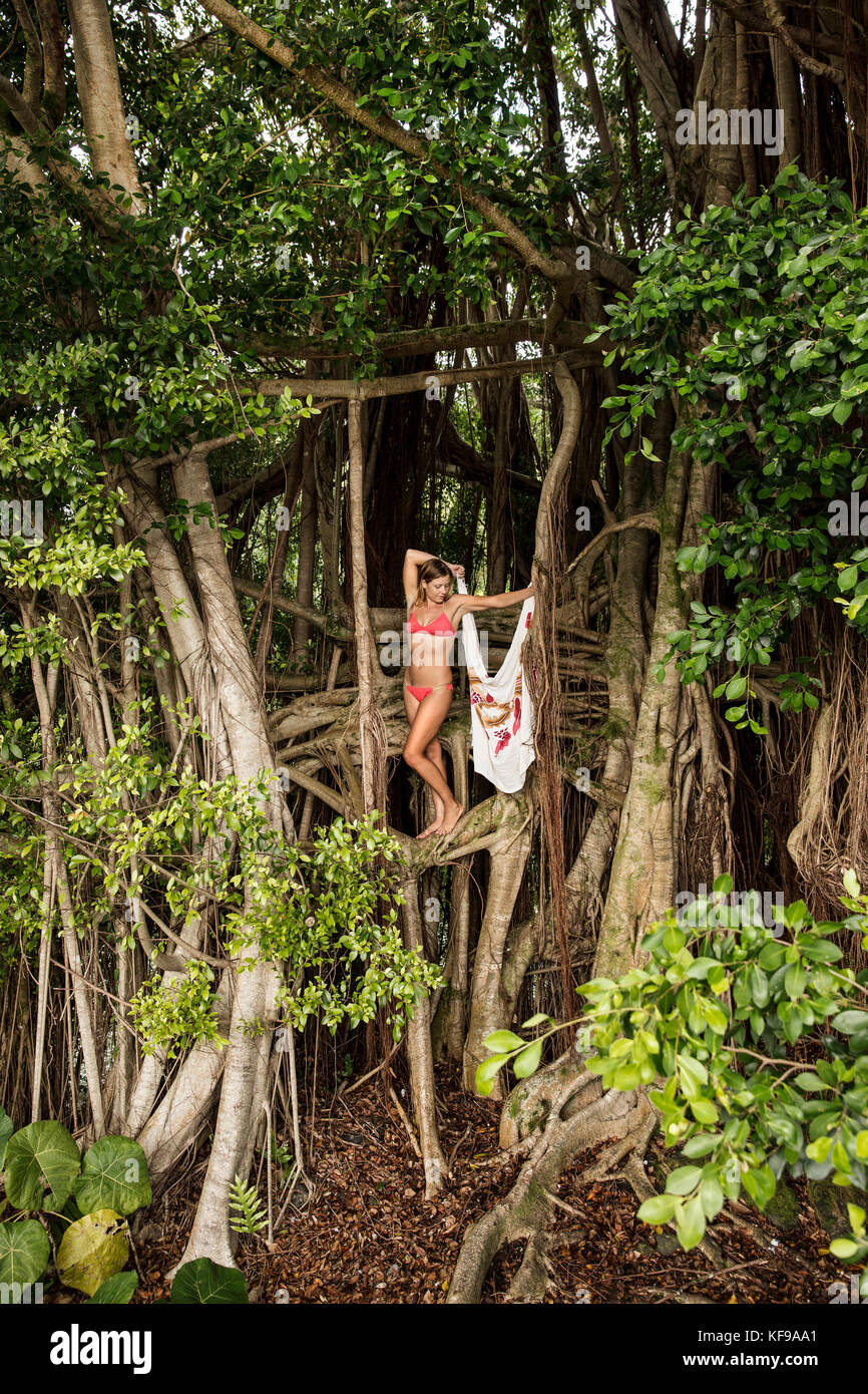 USA, Hawaii, The Big Island, Donica Shouse hangs climbs and hangs out ...