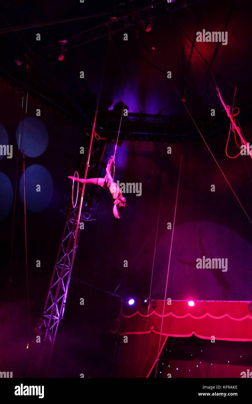 circus sway pole trapeze artist Stock Photo - Alamy
