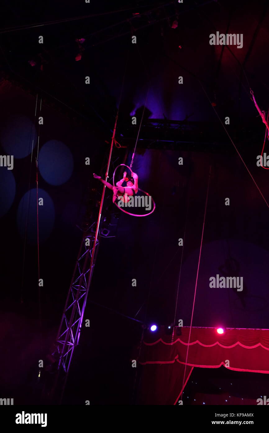 circus sway pole trapeze artist Stock Photo - Alamy