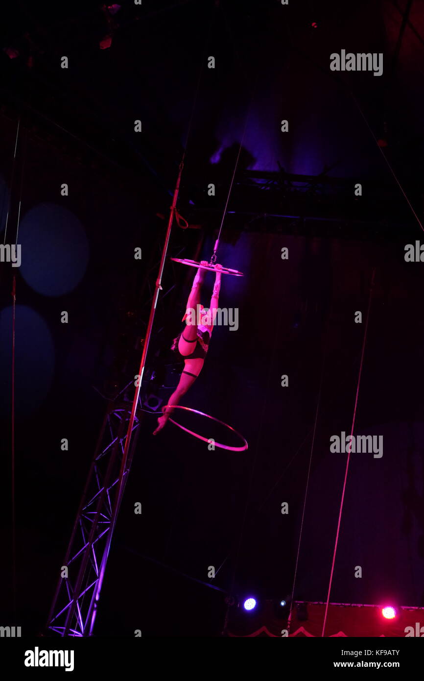 circus sway pole trapeze artist Stock Photo - Alamy