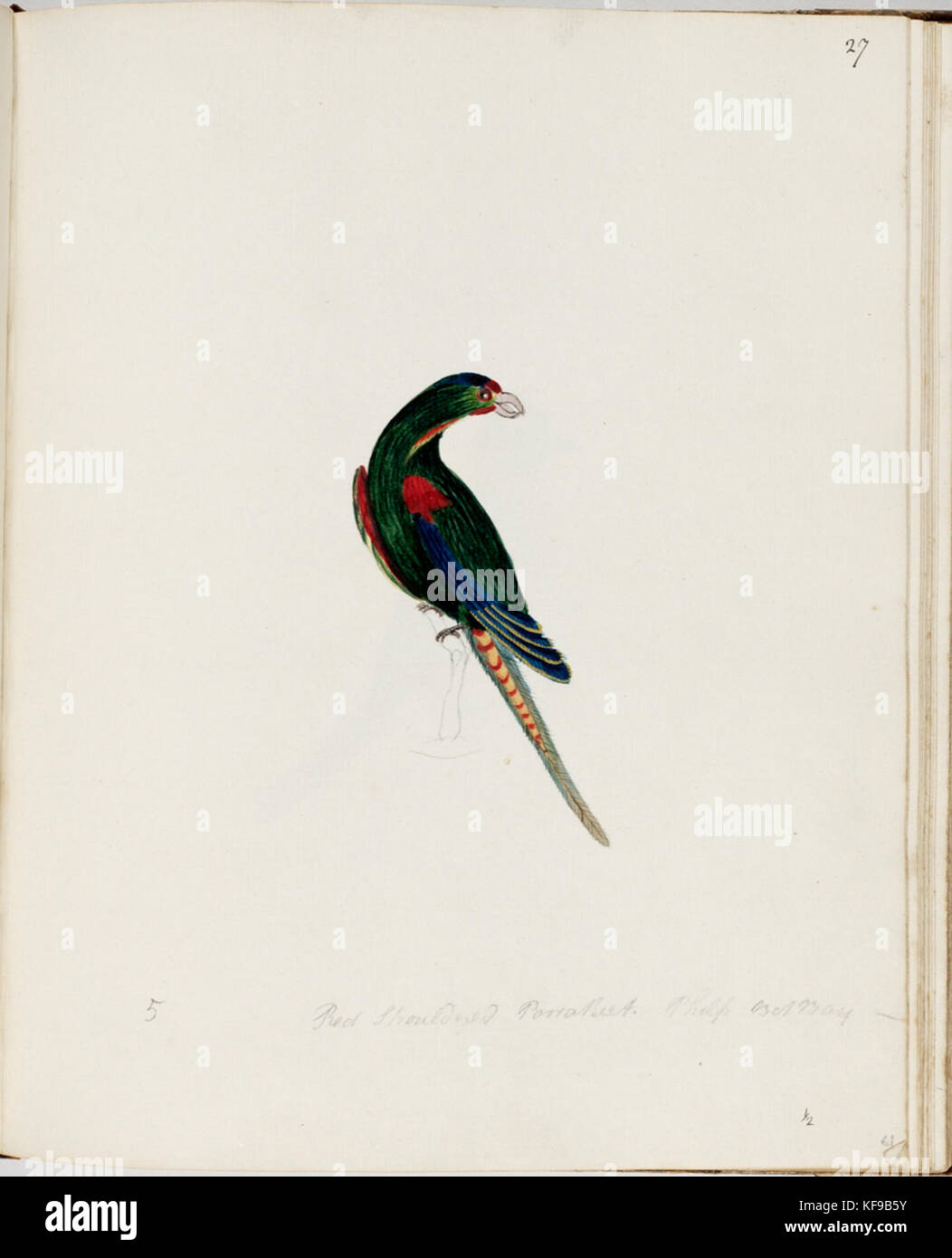 The title ‘479451 Wanguwang’ likely refers to an identification number or code, possibly tied to ...