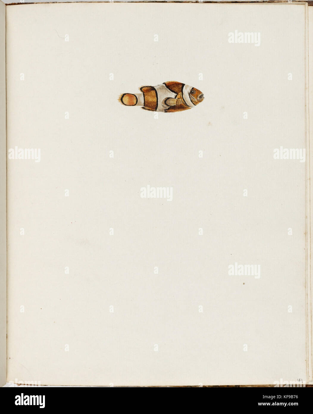 Untitled water hi-res stock photography and images - Alamy